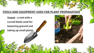 TLE 6 - AGRICULTURE Tools and Equipment for Plant Propagation.pptx