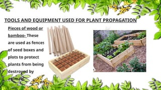 TLE 6 - AGRICULTURE Tools and Equipment for Plant Propagation.pptx