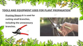 TLE 6 - AGRICULTURE Tools and Equipment for Plant Propagation.pptx