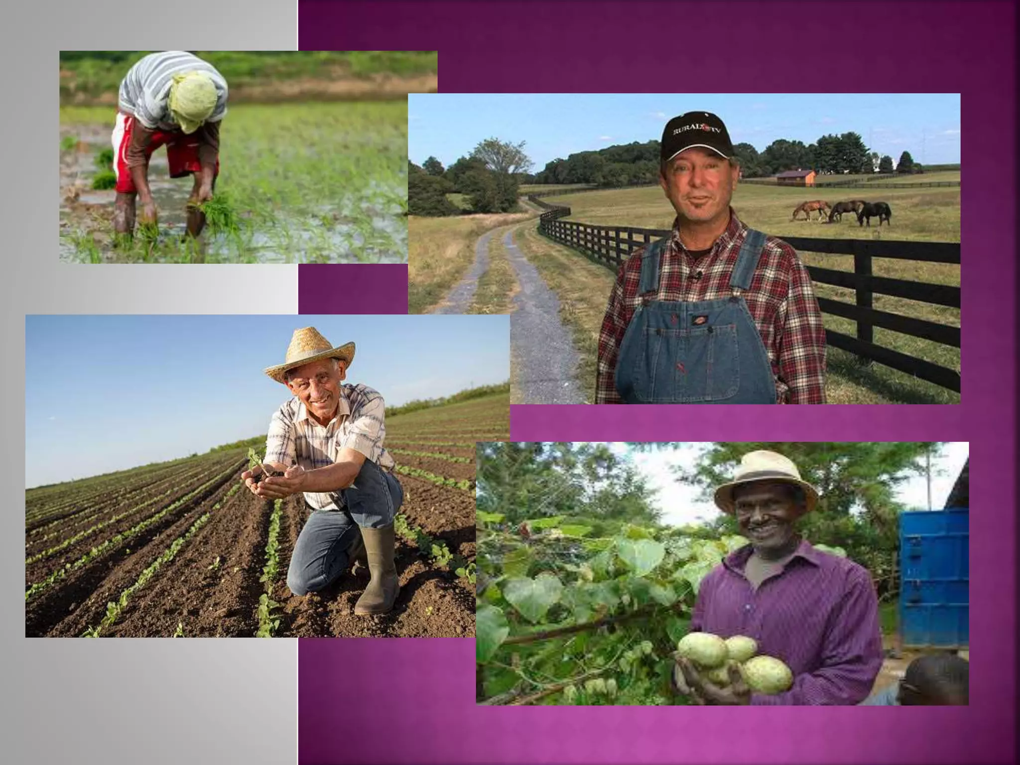 Tle6 successful people in the field of agriculture | PPT