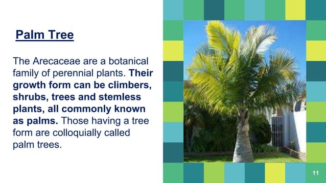 TLE 6 AGRICULTURE WEEK 1-Lesson 1: Importance of Planting Trees and ...