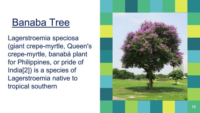 TLE 6 AGRICULTURE WEEK 1-Lesson 1: Importance of Planting Trees and Fruit-Bearing Trees | PPTX ...