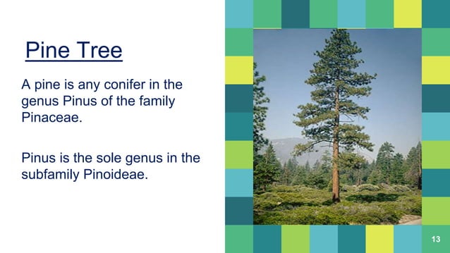 TLE 6 AGRICULTURE WEEK 1-Lesson 1: Importance of Planting Trees and Fruit-Bearing Trees | PPTX ...