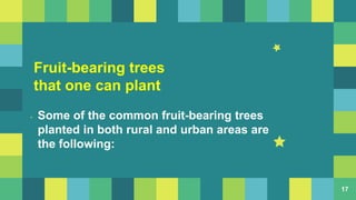 TLE 6 AGRICULTURE WEEK 1-Lesson 1: Importance of Planting Trees and ...