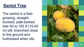 TLE 6 AGRICULTURE WEEK 1-Lesson 1: Importance of Planting Trees and ...