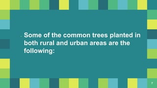 TLE 6 AGRICULTURE WEEK 1-Lesson 1: Importance of Planting Trees and ...