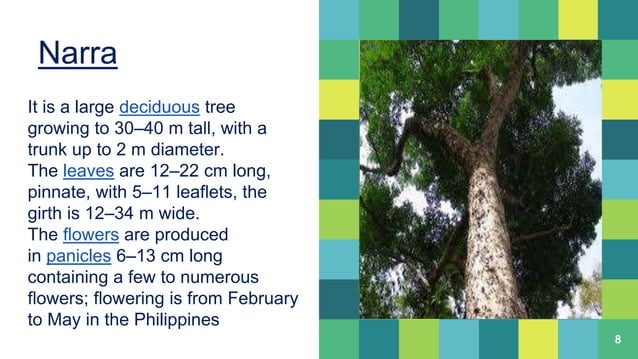 TLE 6 AGRICULTURE WEEK 1-Lesson 1: Importance of Planting Trees and Fruit-Bearing Trees | PPTX ...