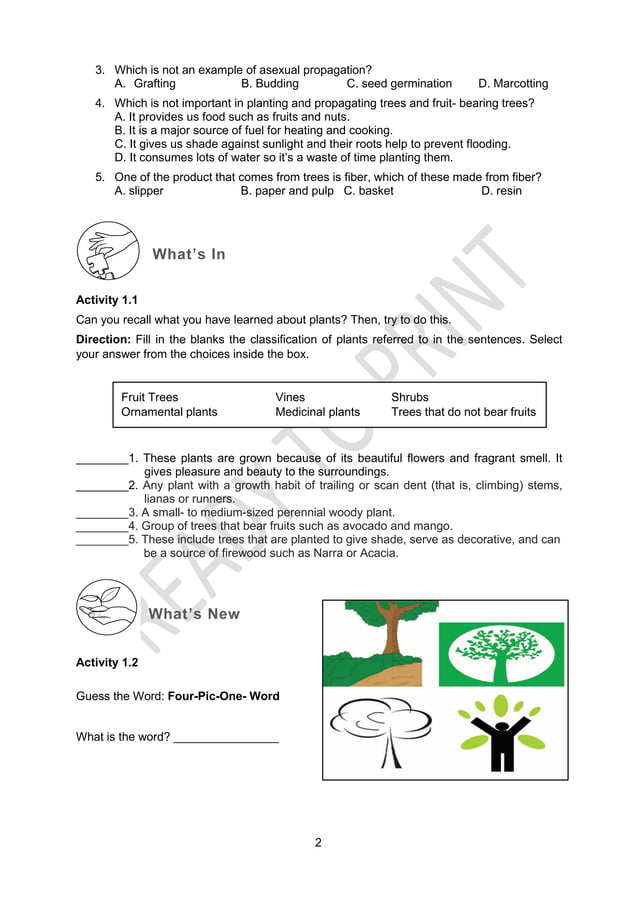 Tle6 q1 mod1_agriculture_planting_propagating_trees_fruit-bearingtrees ...