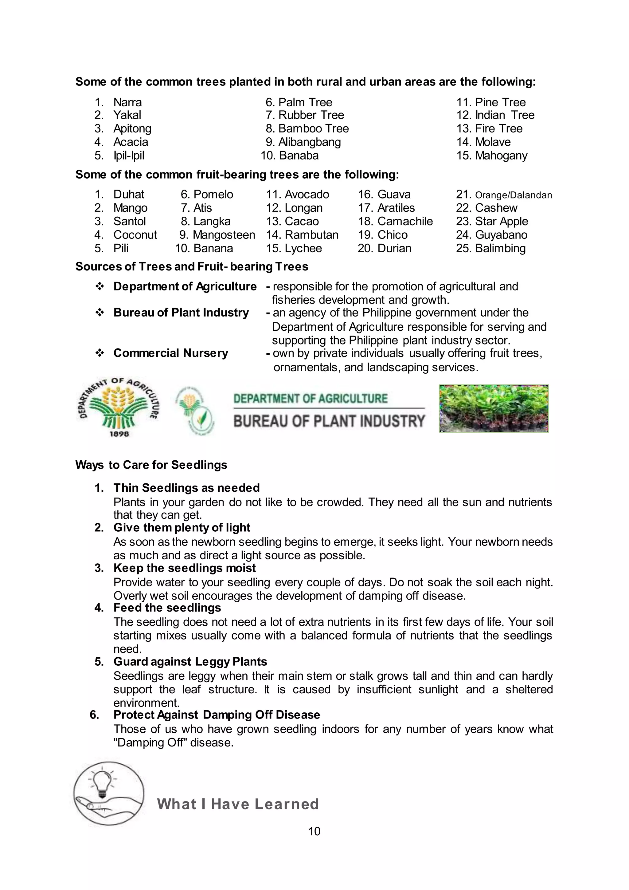 Tle6 q1 mod1_planting_and_propagating_trees_and_fruit-bearing_trees ...