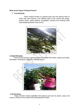 Tle6 q1 mod3_agriculture_conduct_a_surveyonthetypesoforchardfarm_v5 | PDF