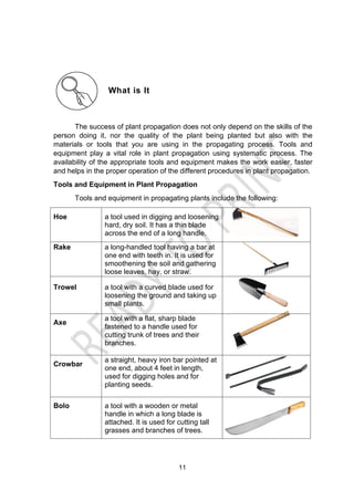 Tle6 q1 mod4_agriculture_propagating_trees_fruit ...