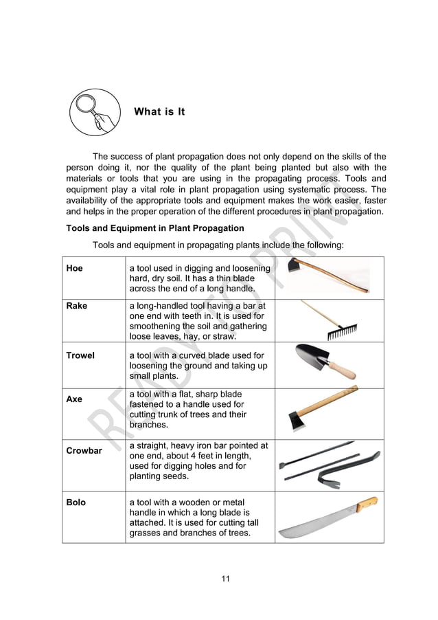 Tle6 q1 mod4_agriculture_propagating_trees_fruit ...
