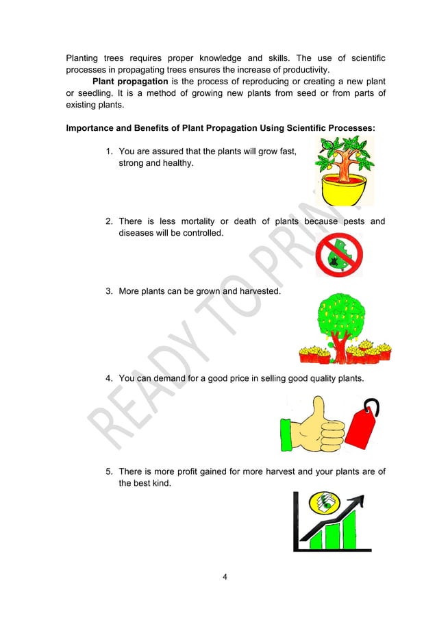Tle6 q1 mod4_agriculture_propagating_trees_fruit ...