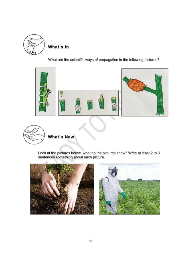 Tle6 Q1 Mod4 Agriculture Propagating Trees Fruit Bearingtreesusingscientificprocess V5