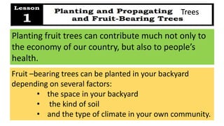 TLE 6 Q2 MODULE 1.pdf - teaching materials | PDF