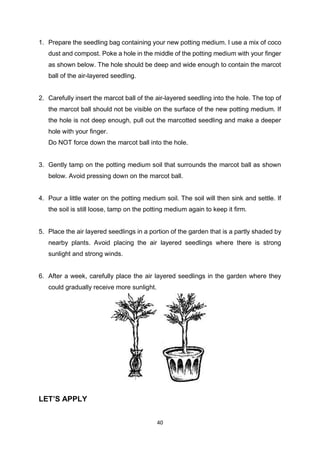 TLE 6-HOME ECONOMICS TLE 6 WORKSHEETS.pdf