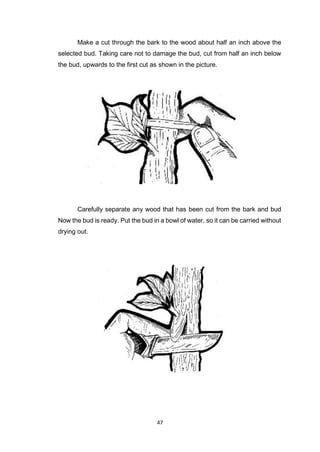 TLE 6-HOME ECONOMICS TLE 6 WORKSHEETS.pdf