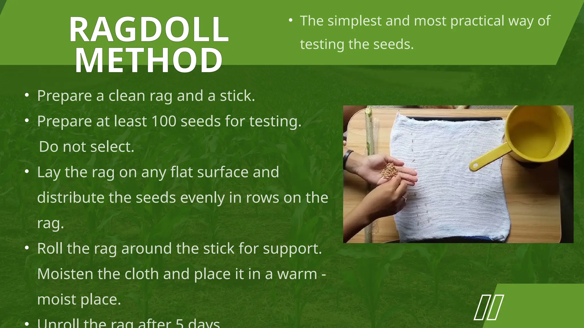 TLE7-III-L3-Agricultural Practices in Crop Production.pptx