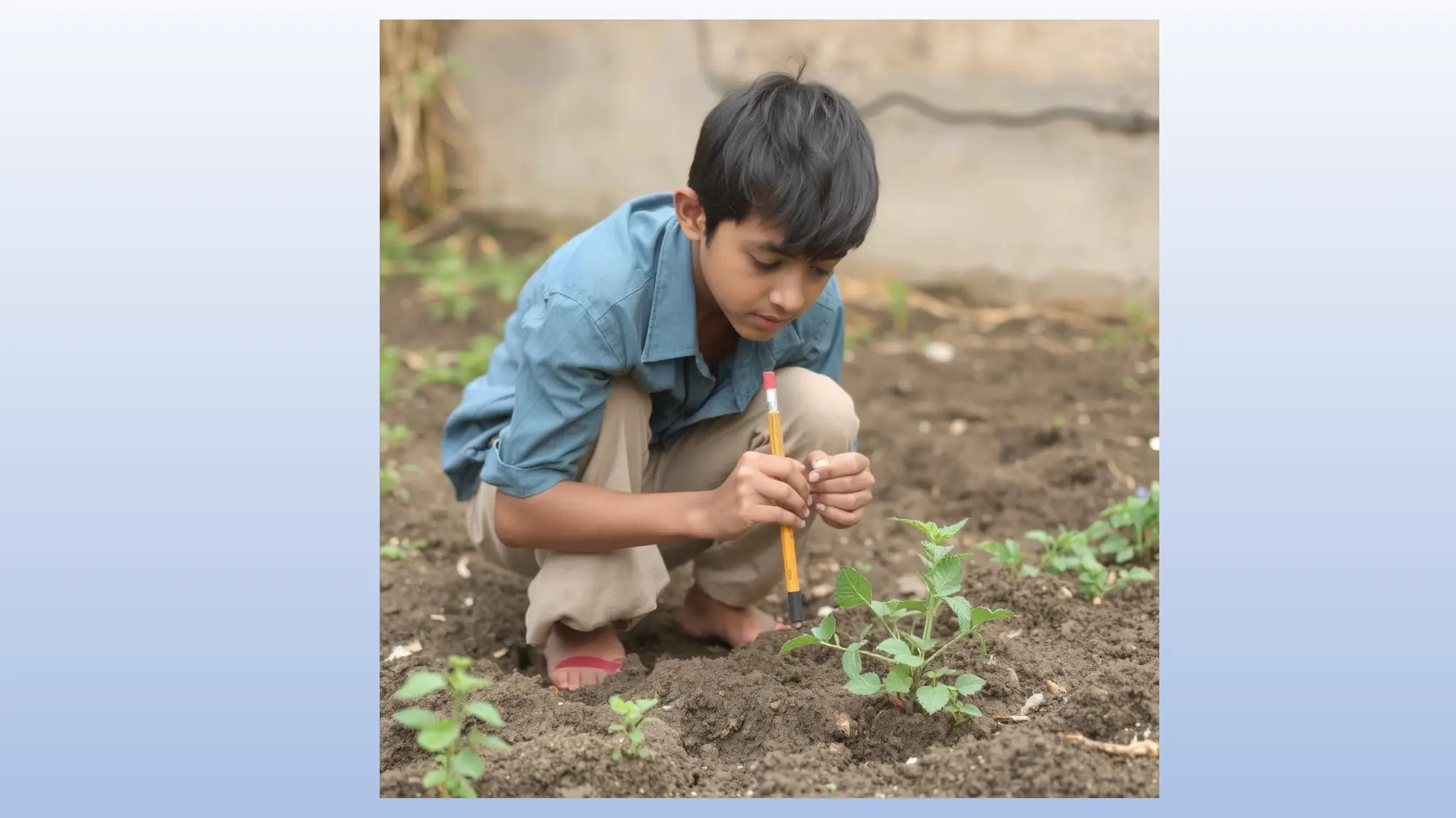 TLE 7 Agriculture and Fishery- Tools And Equipments in Farming.pptx