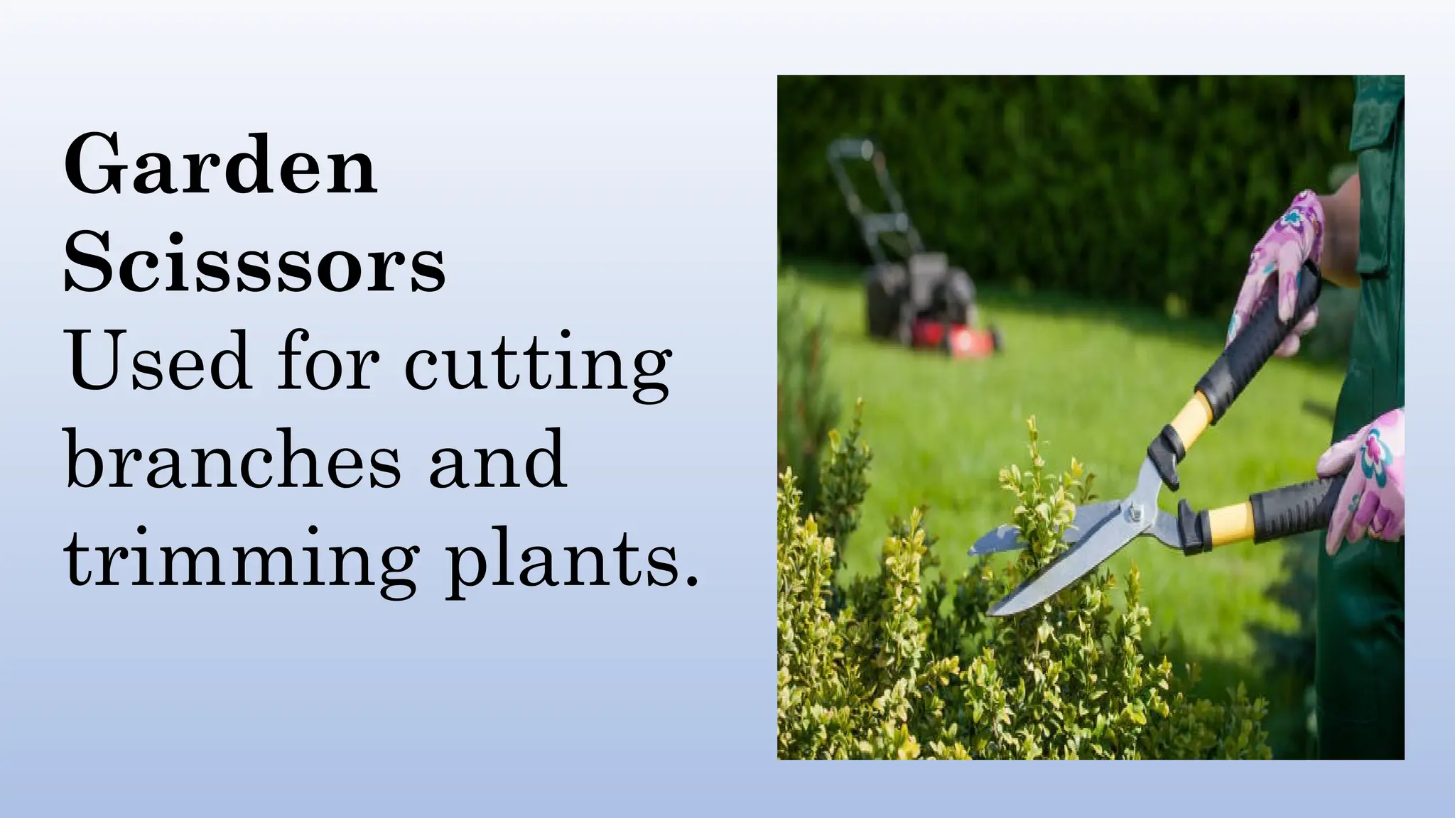 TLE 7 Agriculture and Fishery- Tools And Equipments in Farming.pptx