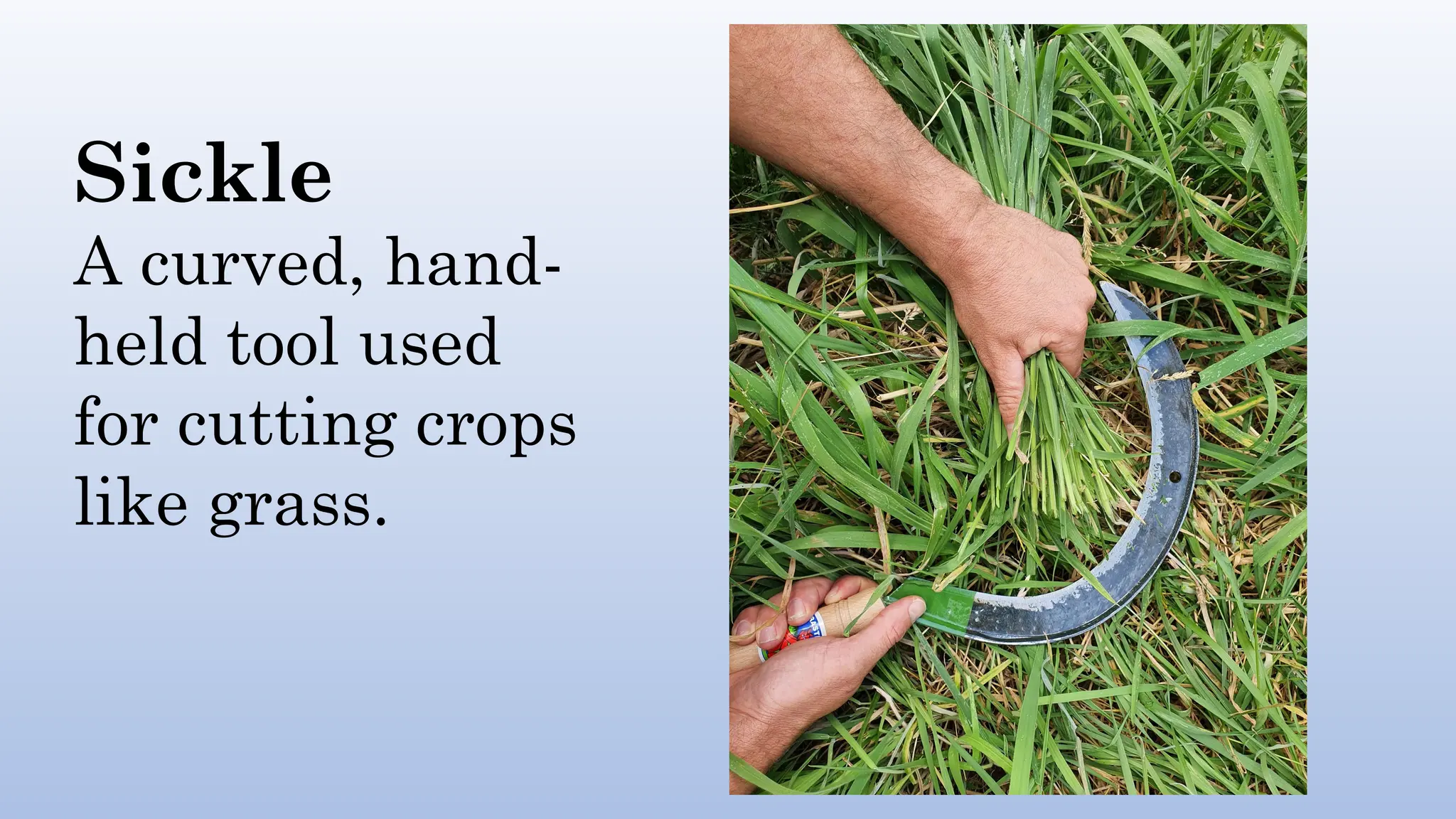 TLE 7 Agriculture and Fishery- Tools And Equipments in Farming.pptx