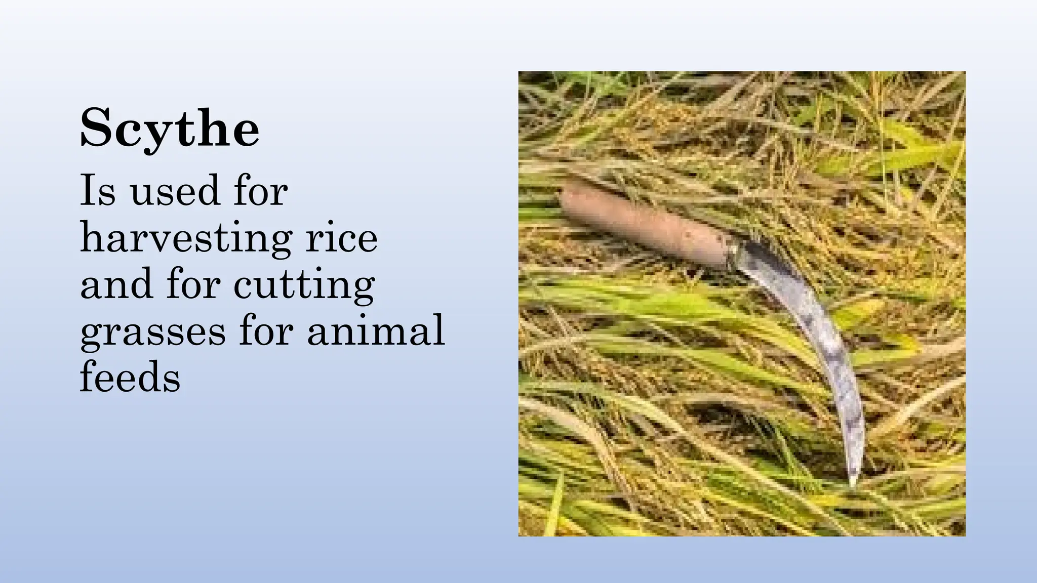 TLE 7 Agriculture and Fishery- Tools And Equipments in Farming.pptx