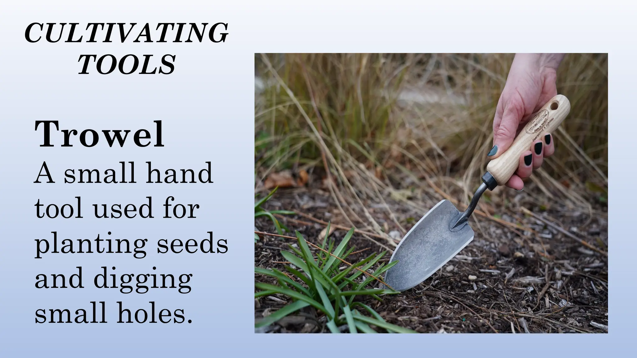 TLE 7 Agriculture and Fishery- Tools And Equipments in Farming.pptx