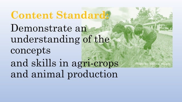 TLE 7 Agriculture and Fishery- Tools And Equipments in Farming.pptx