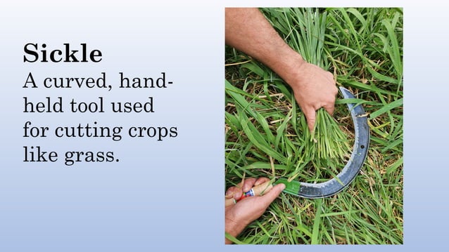 TLE 7 Agriculture and Fishery- Tools And Equipments in Farming.pptx