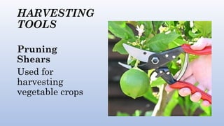 TLE 7 Agriculture and Fishery- Tools And Equipments in Farming.pptx