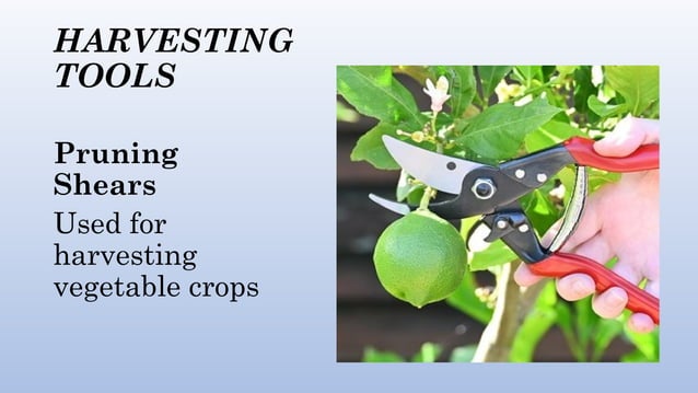 TLE 7 Agriculture and Fishery- Tools And Equipments in Farming.pptx