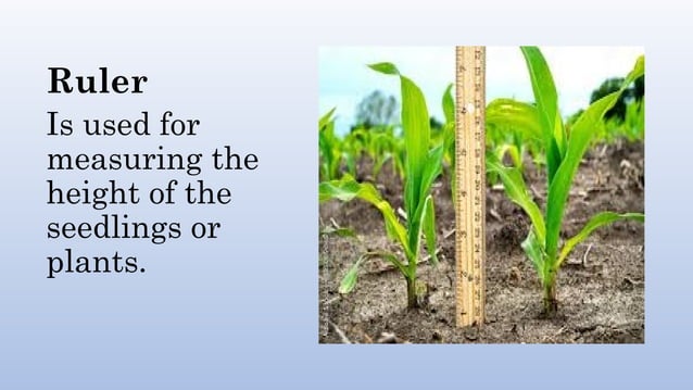 TLE 7 Agriculture and Fishery- Tools And Equipments in Farming.pptx