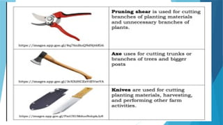 Technology and livelihood education_TLE7ICTQ2.pptx