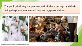 TLE 7 Q2 16 Products and Byproducts of Poultry and Livestock Production ...