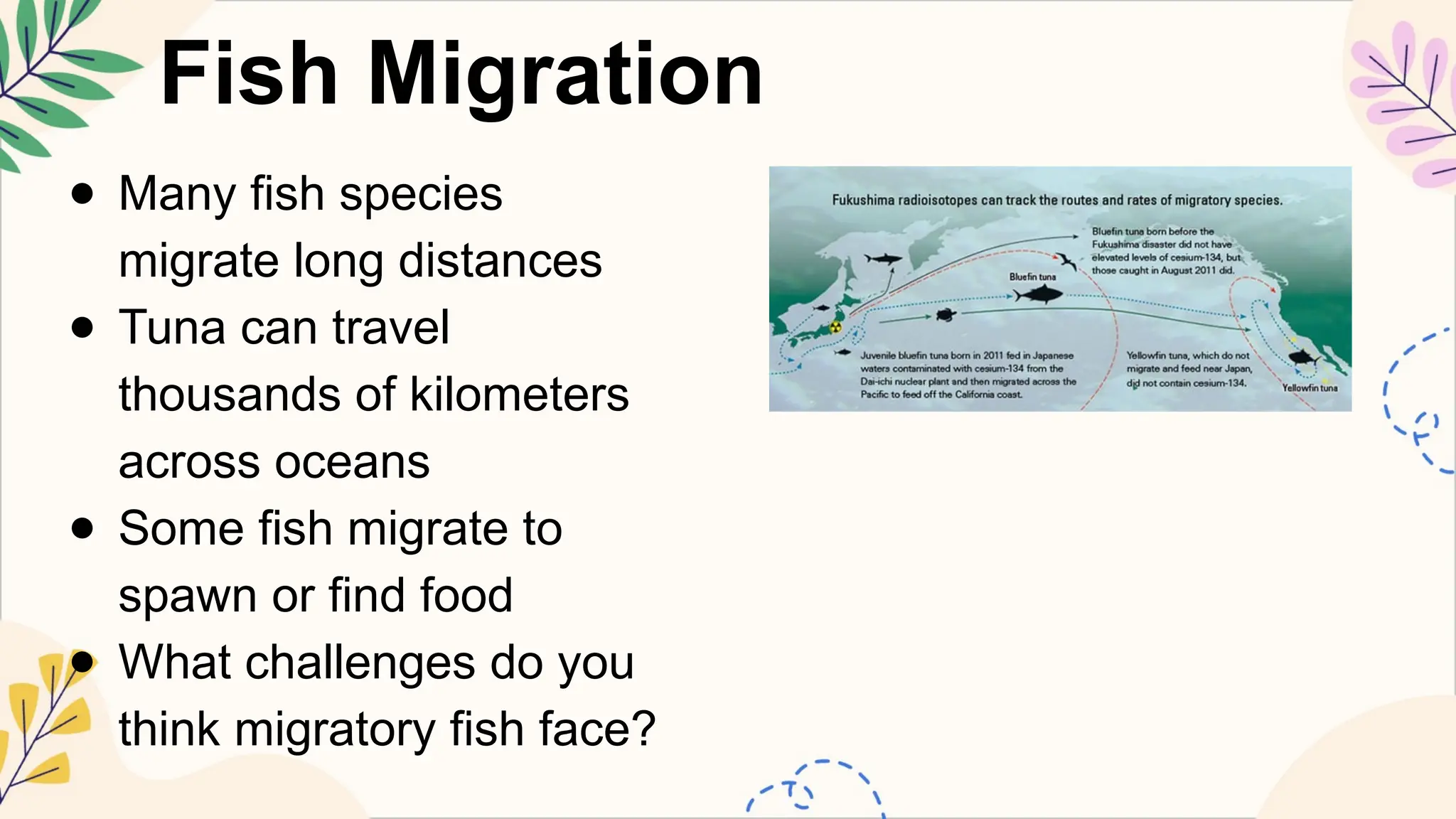 TLE 8 Q2 6. discuss fish species in the Philippines.pptx