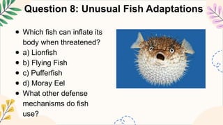TLE 8 Q2 6. discuss fish species in the Philippines.pptx