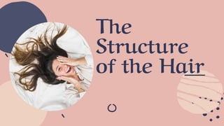 Lesson 4 Structure and growth cycle of the hair and the importance of a ...