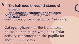 Lesson 3 structure and growth hair cycle | PPT