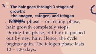 Lesson 3 structure and growth hair cycle | PPT