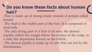 Lesson 3 structure and growth hair cycle | PPTX