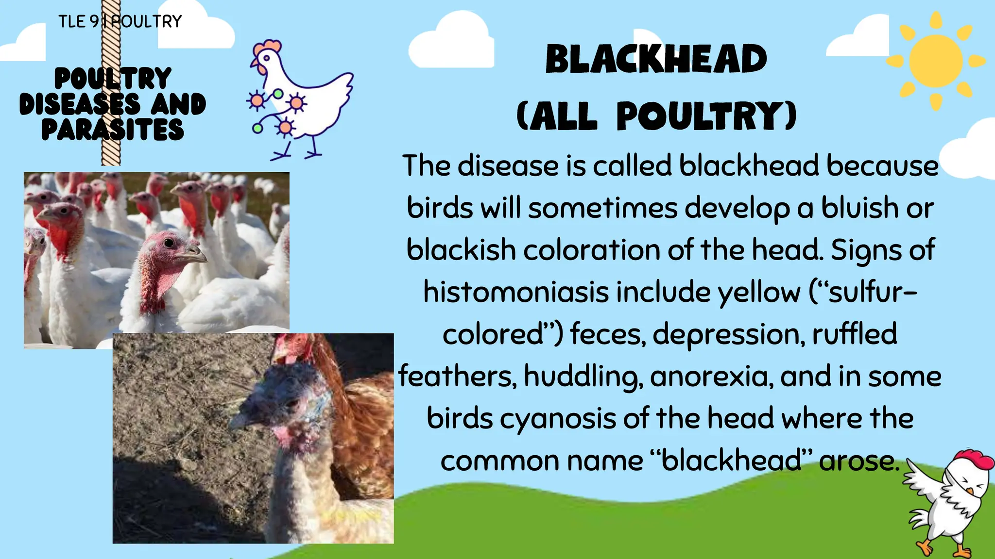 TLE 9 poultry diseases and parasites.pptx