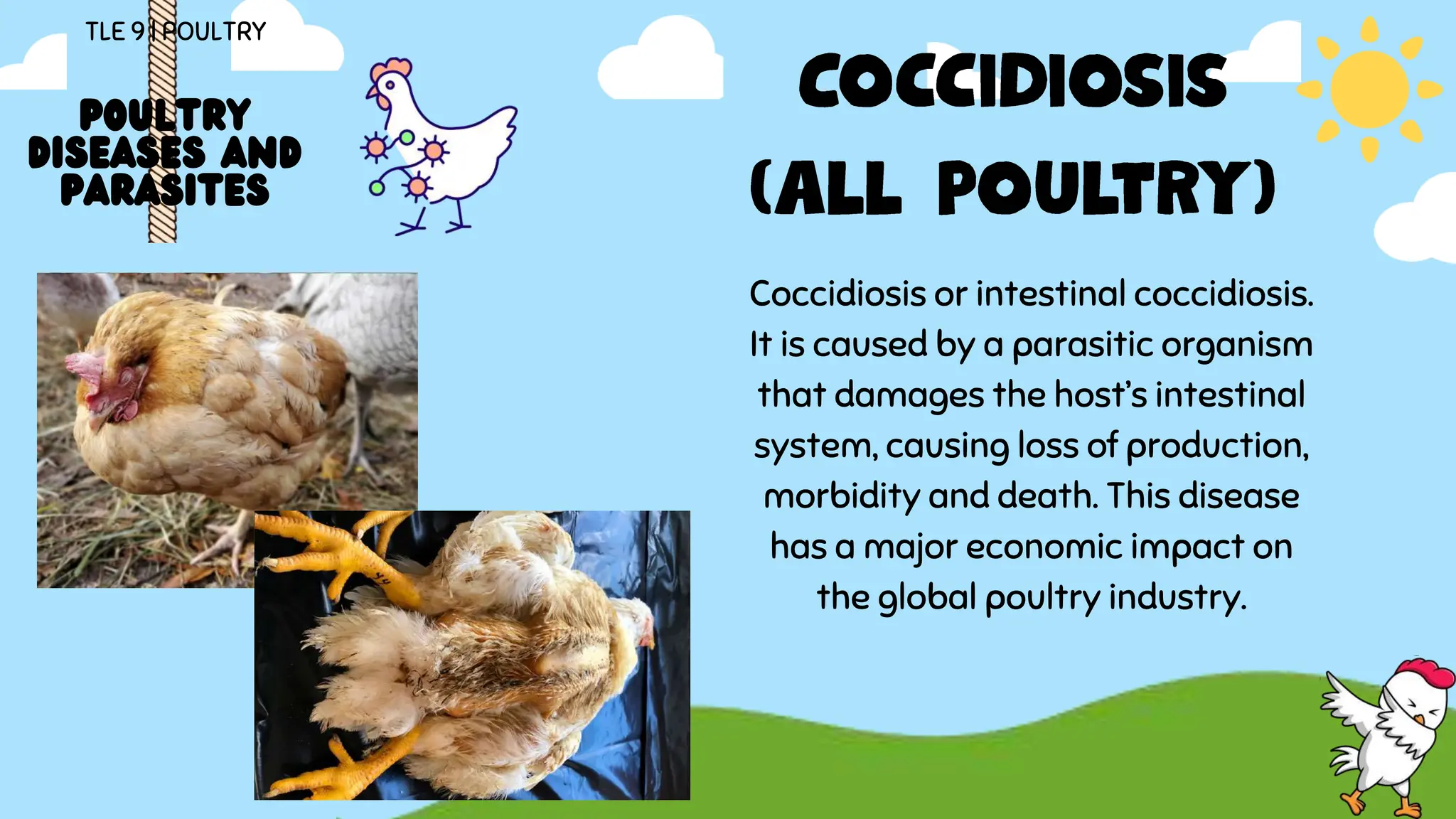 TLE 9 poultry diseases and parasites.pptx