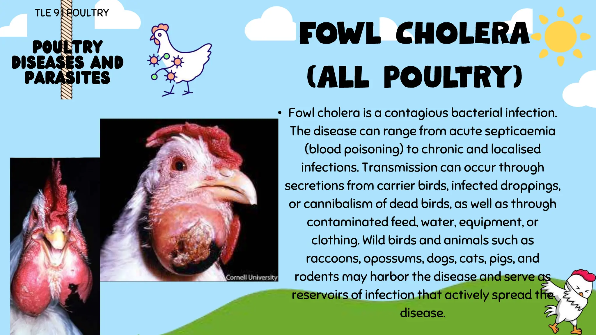 TLE 9 poultry diseases and parasites.pptx