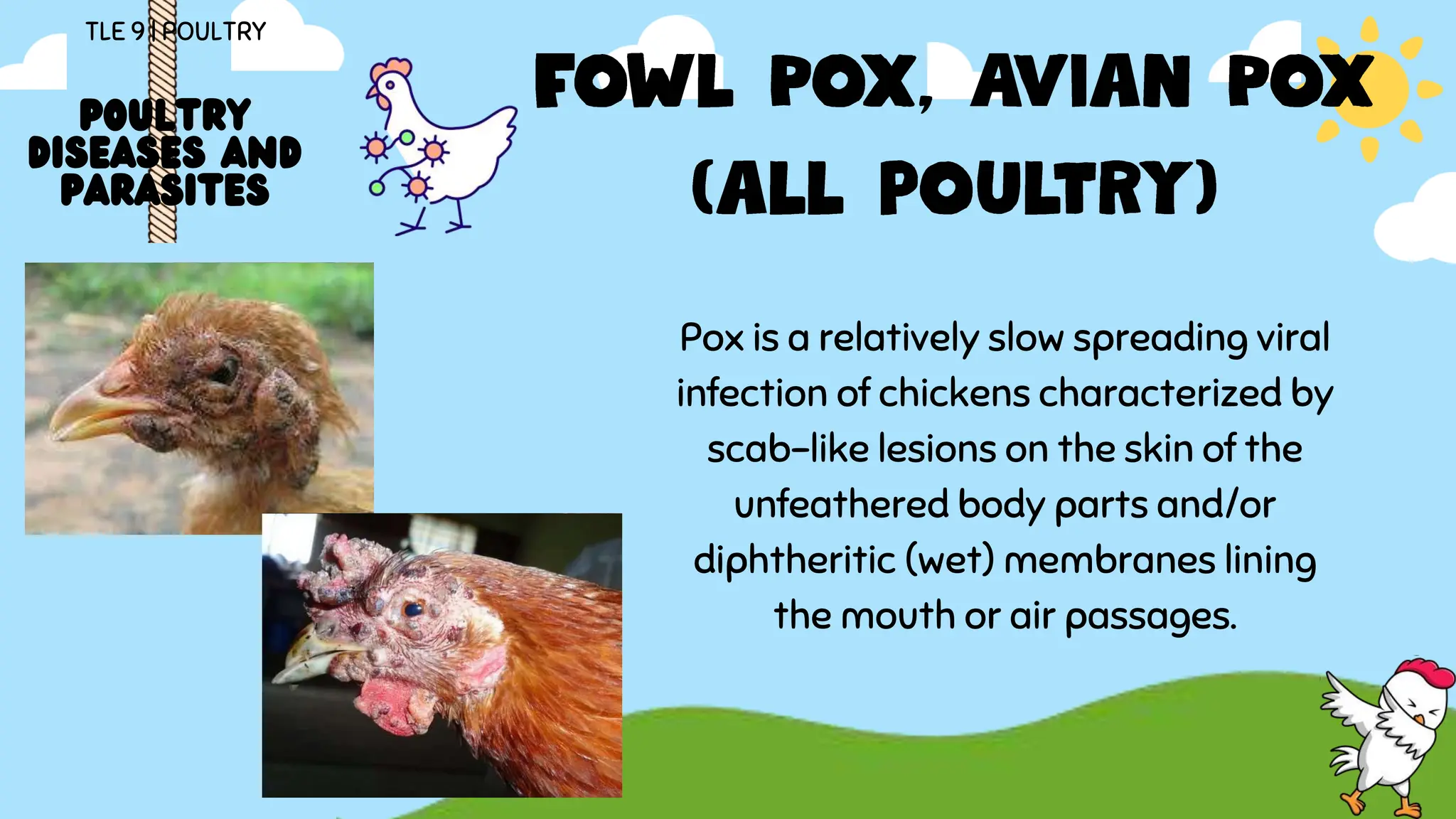 TLE 9 poultry diseases and parasites.pptx