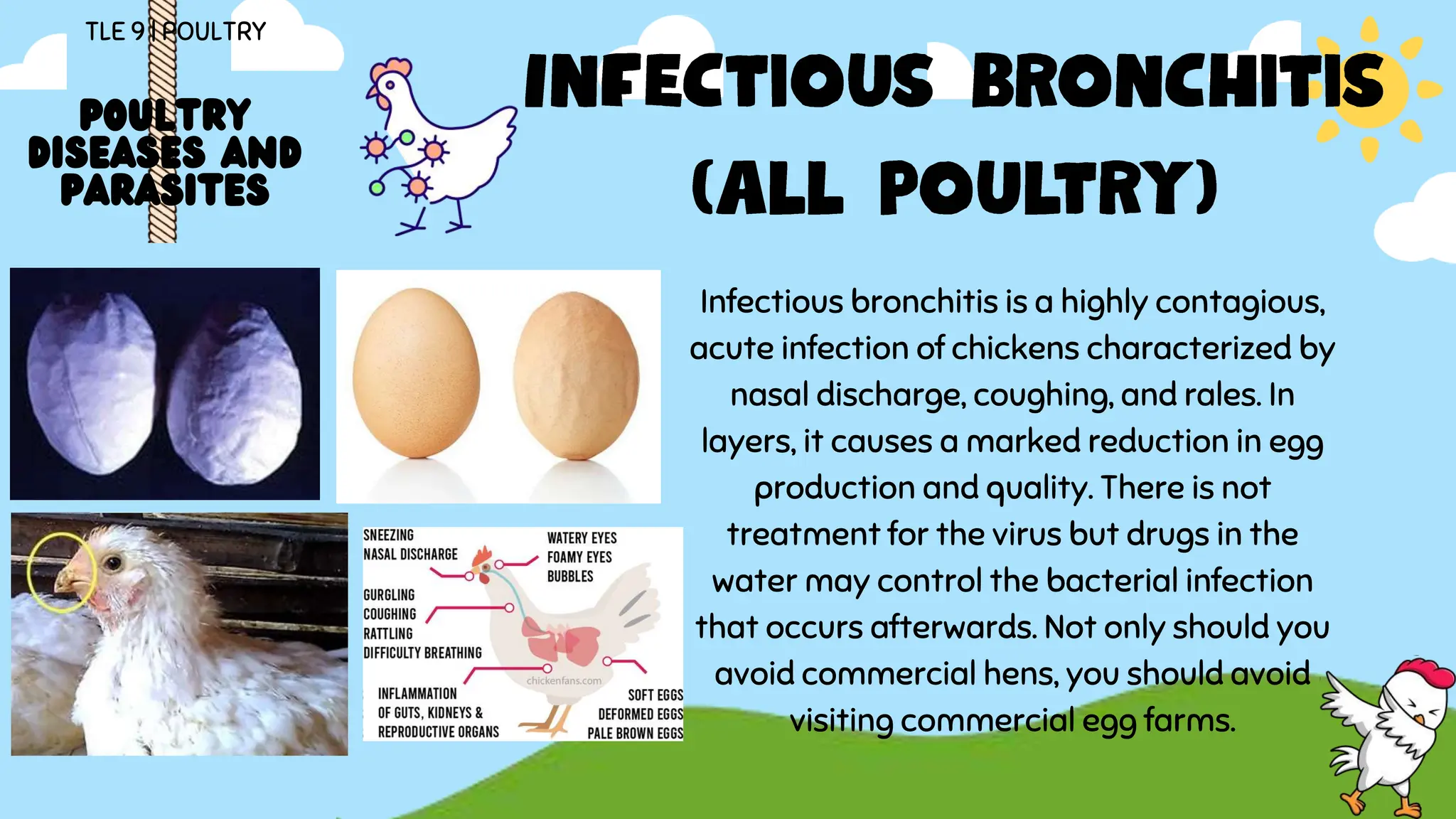 TLE 9 poultry diseases and parasites.pptx
