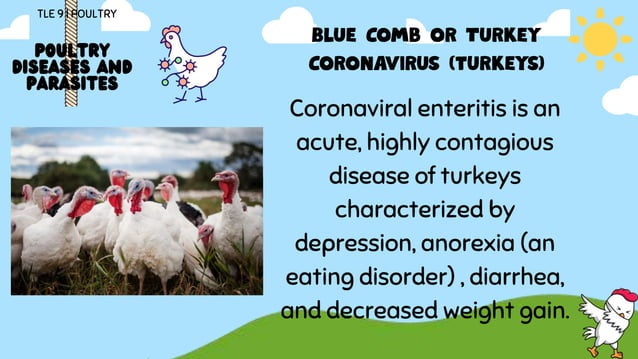 TLE 9 poultry diseases and parasites.pptx