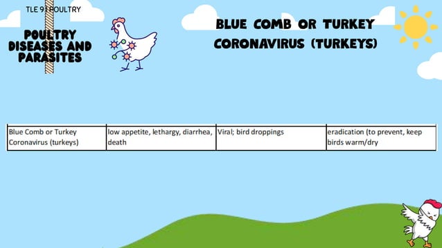 TLE 9 poultry diseases and parasites.pptx