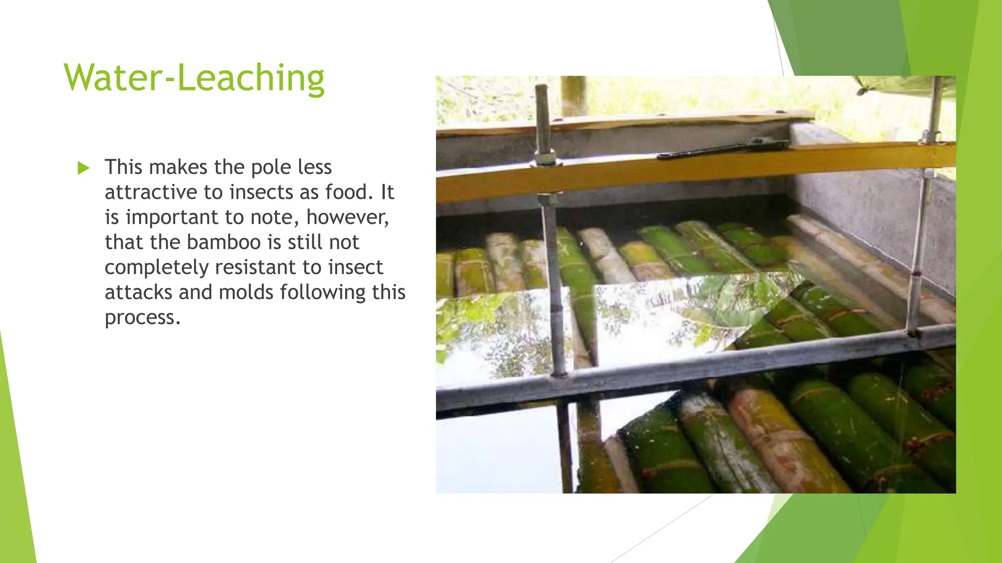 TLE bamboo treatment PRESENTATION ITH SLIDES | PPTX