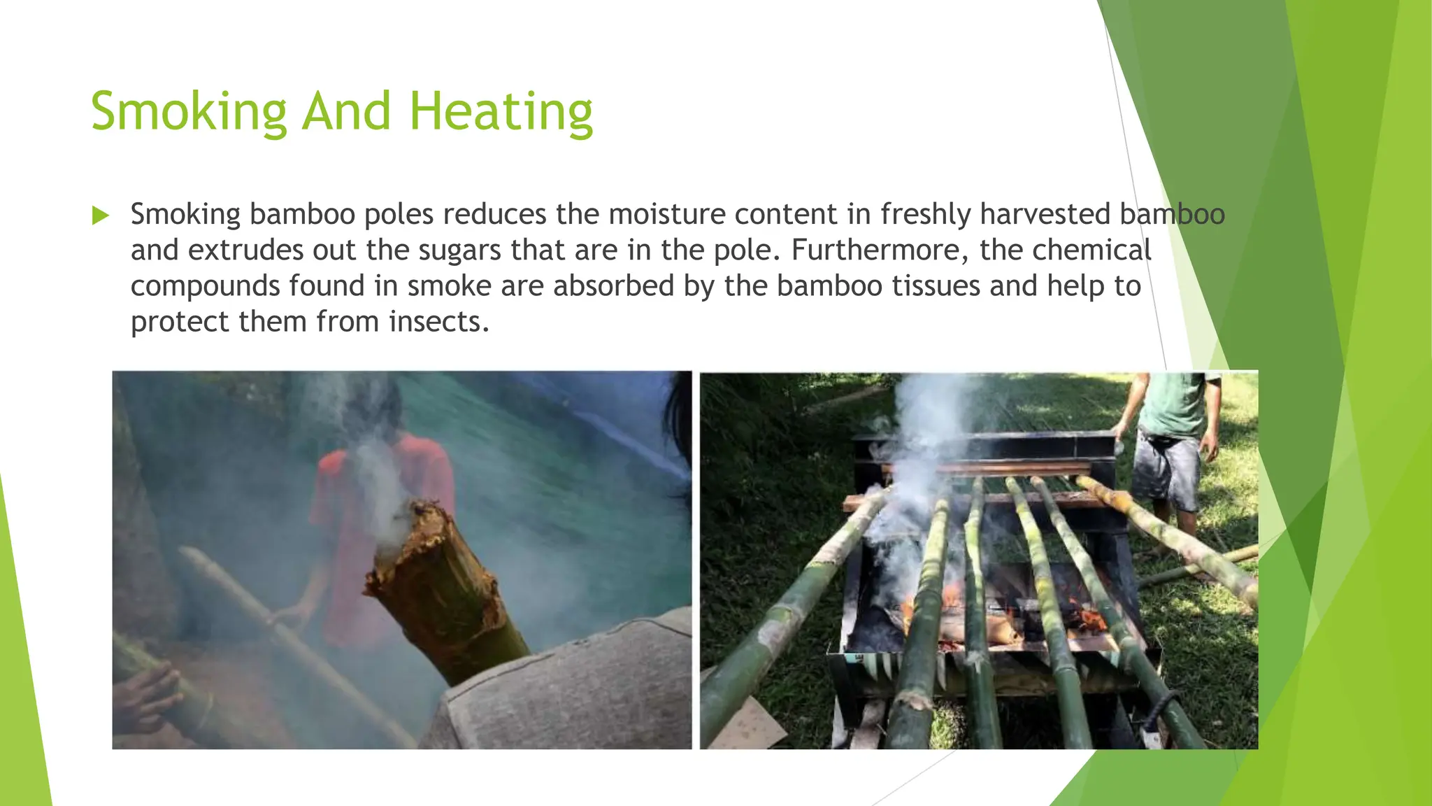 TLE bamboo treatment PRESENTATION ITH SLIDES | PPTX