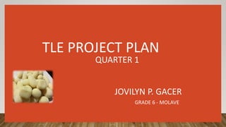 Tle project plan | PPTX